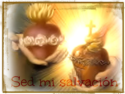 EL CORAZÓN DE JESÚS… – Hermanas Franciscanas de los Sagrados Corazones